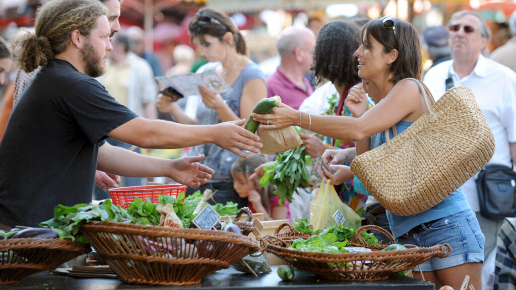 70 organisations pour une véritable stratégie nationale pour l ...
